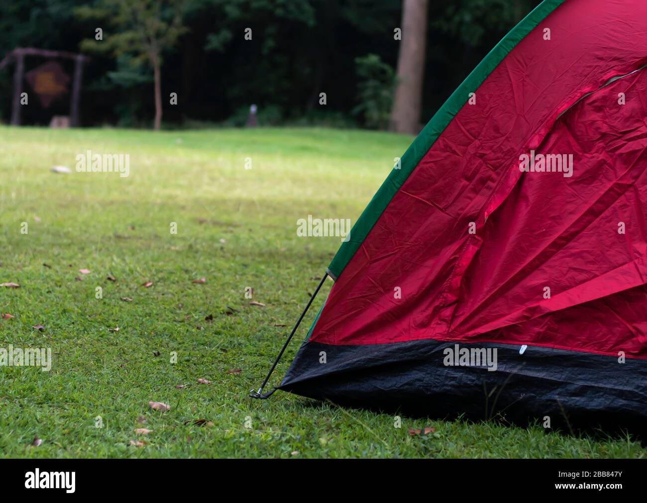 Red camping tent on field green grass forest background in vacation ...