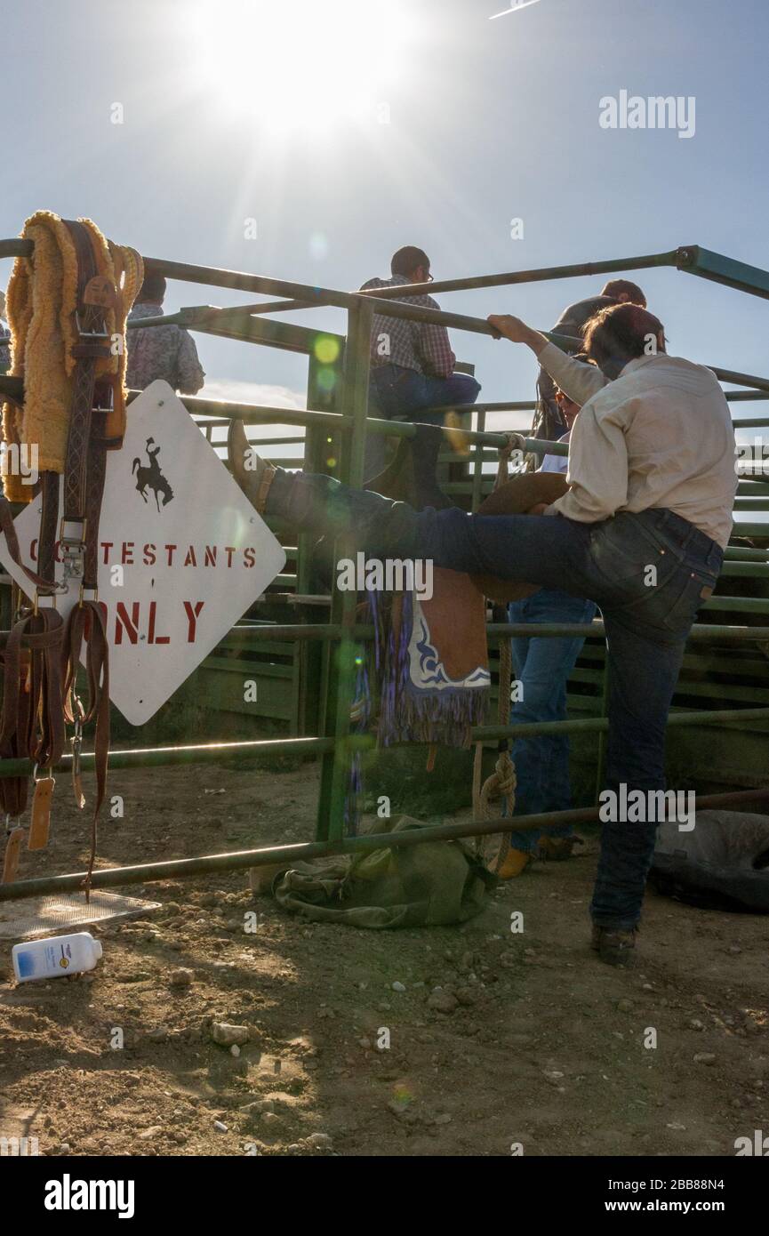 A rough stock contestant stretches behind the chutes as he waits for ...