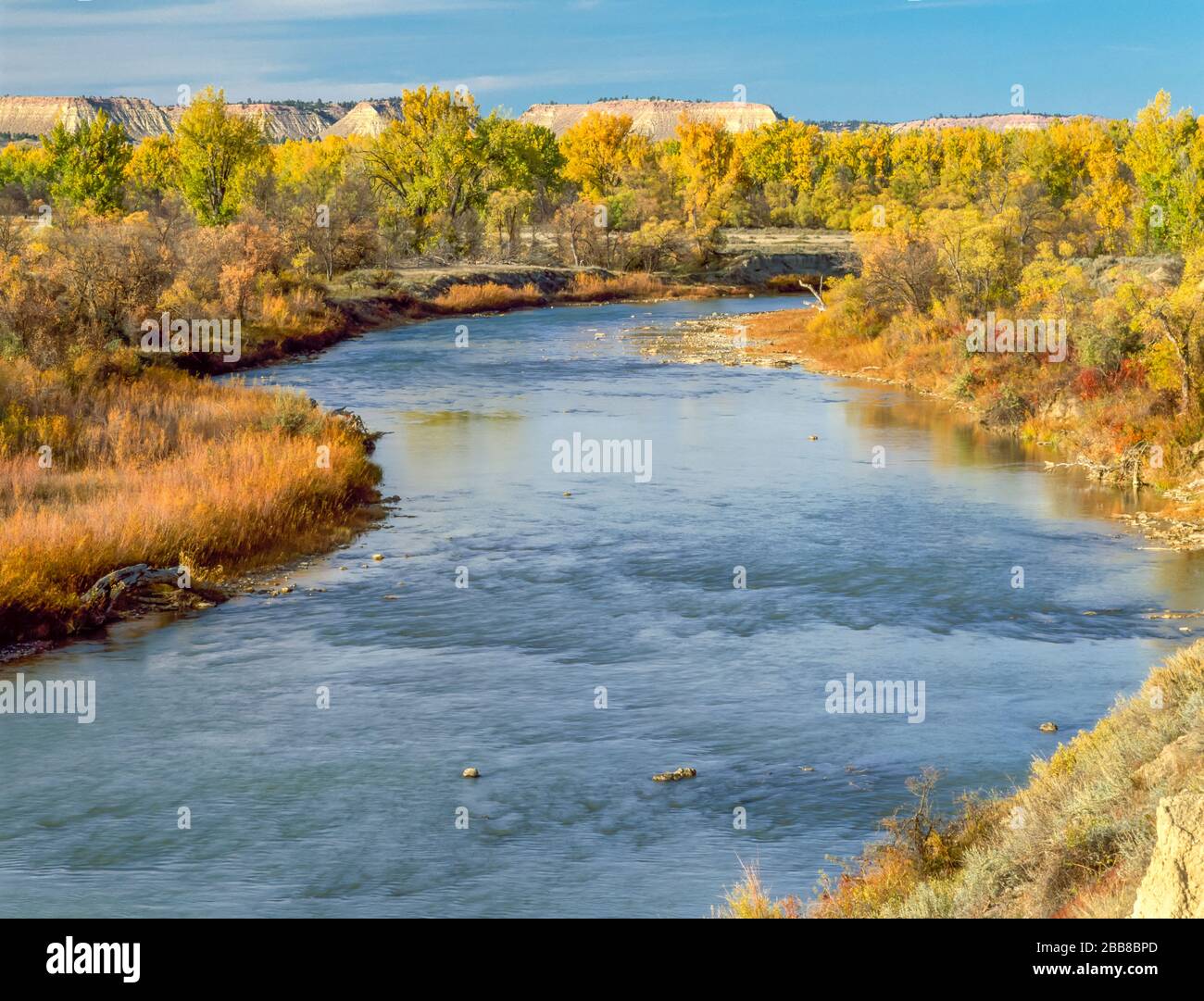 fall colors along the tongue river brandenberg, montana Stock Photo - Alamy
