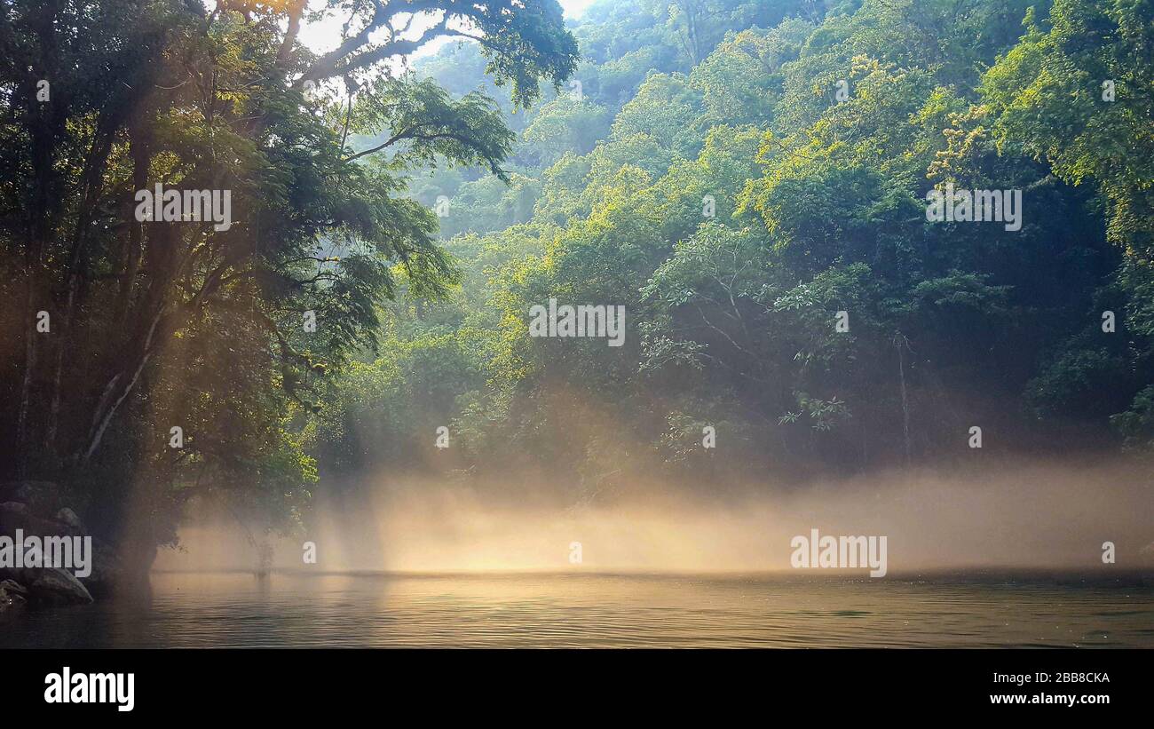 Sunset Passing Trough Threes Stock Photo - Alamy