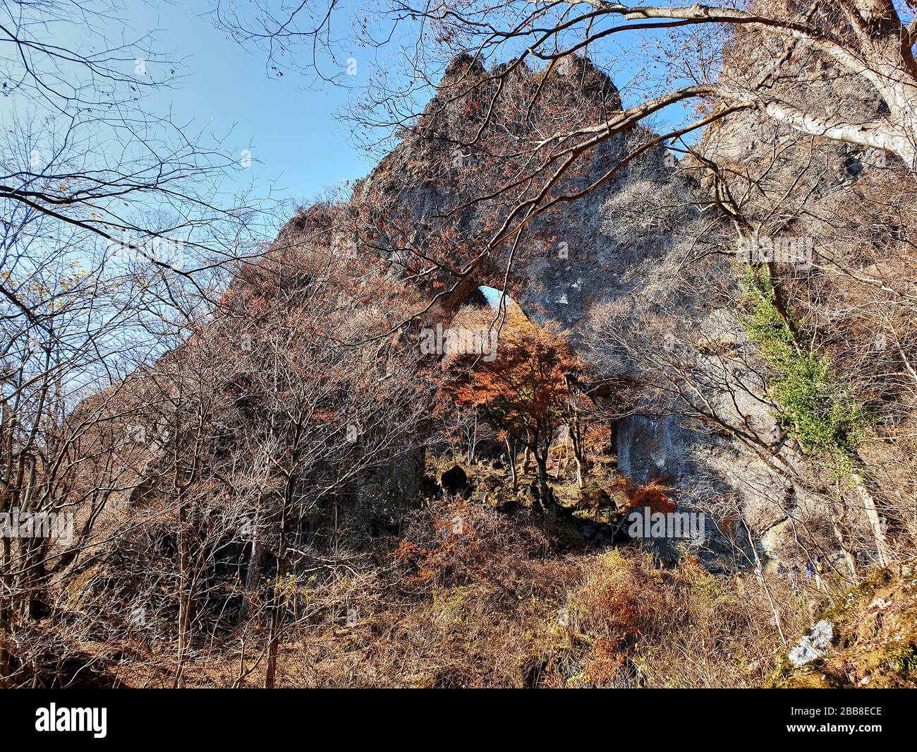 Trees in mountains with caves Stock Photo - Alamy