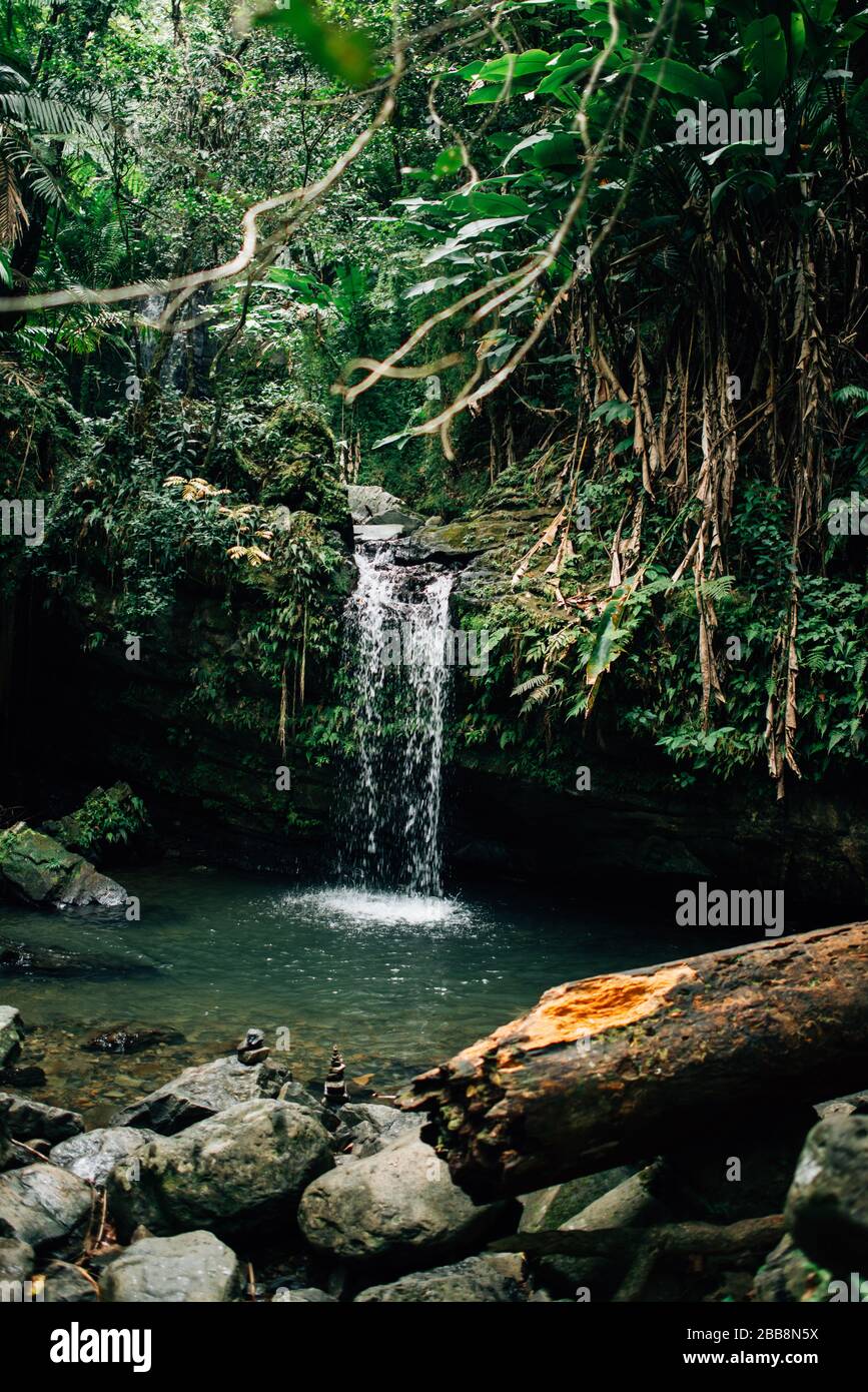 Puerto rico rainforest waterfall hi-res stock photography and images ...