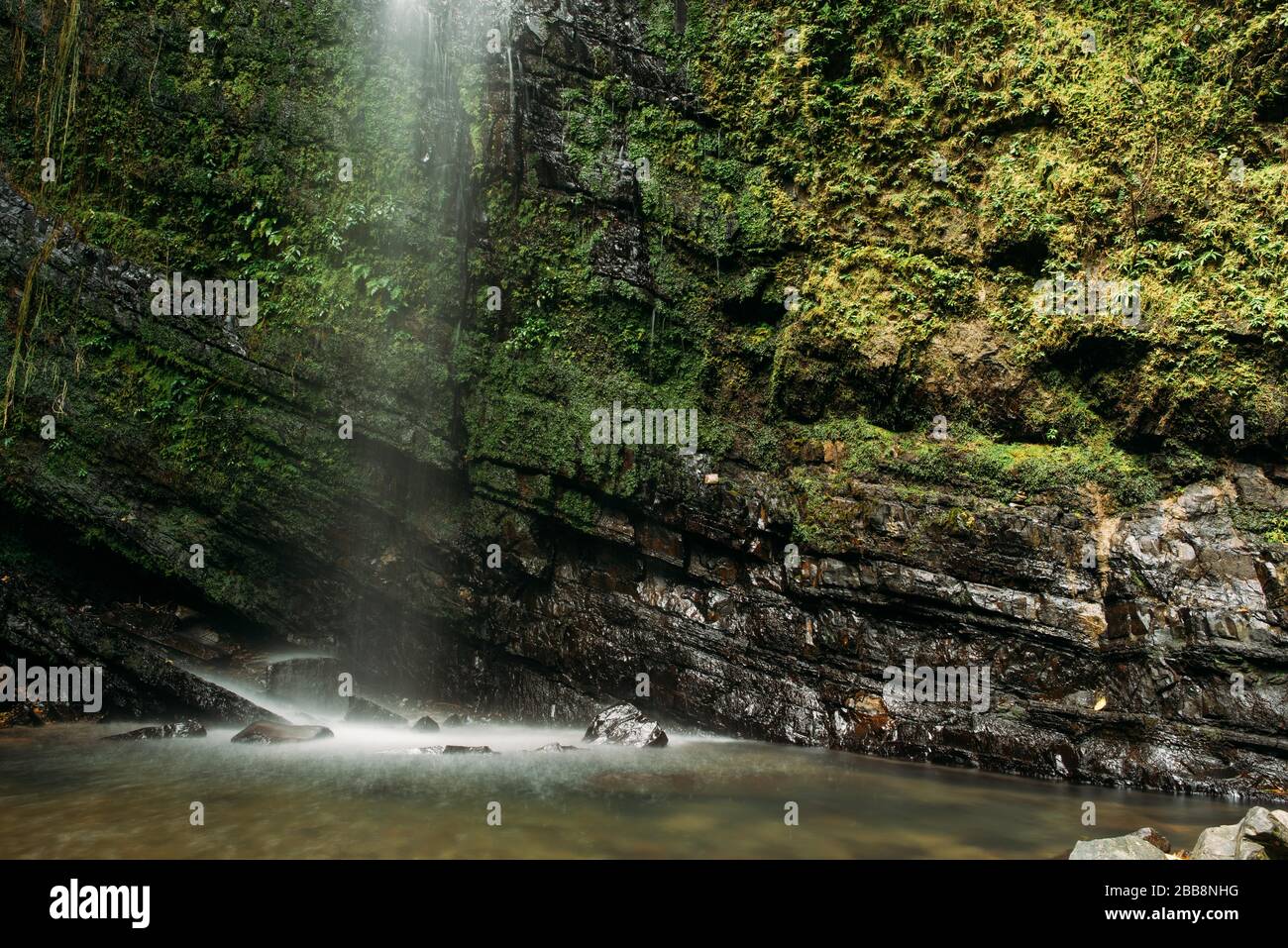 Puerto rico rainforest waterfall hi-res stock photography and images ...