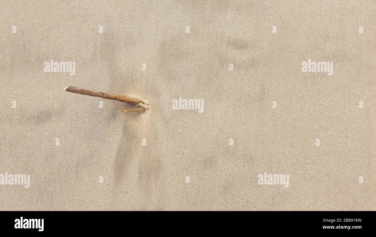 Wind-driven sand by sea Stock Photo - Alamy