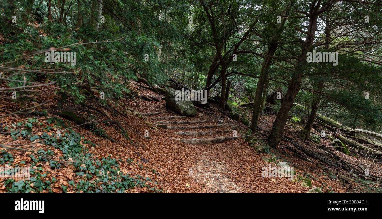 Nature landscape of autumn, Footpath in dark forest, road to grotto ...