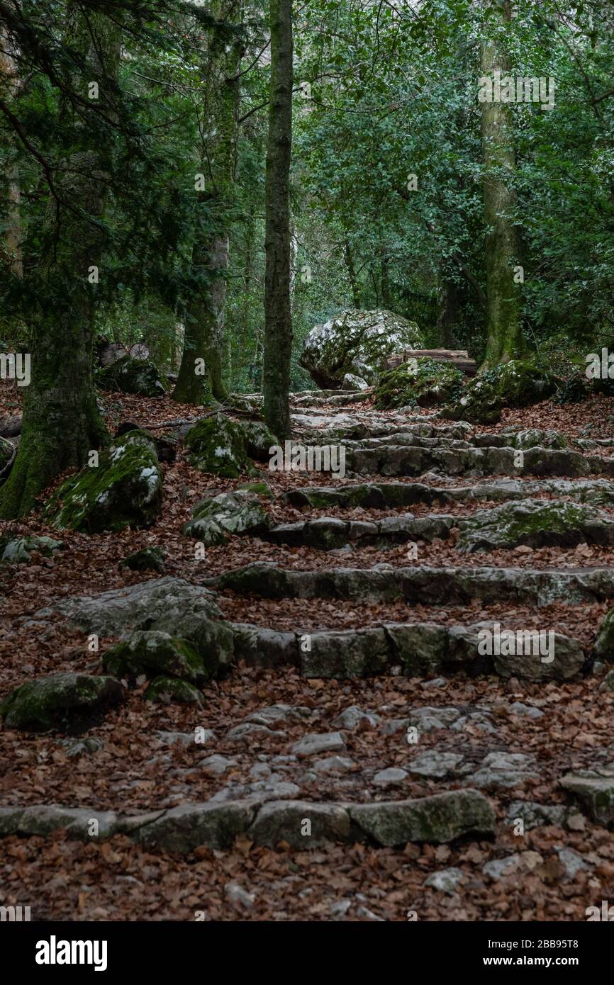 Nature landscape of autumn, Footpath in dark forest, road to grotto ...