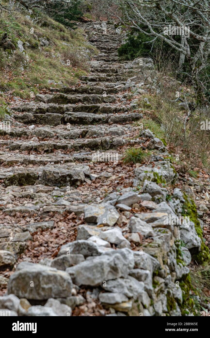 Nature landscape of autumn, Footpath in dark forest, road to grotto ...