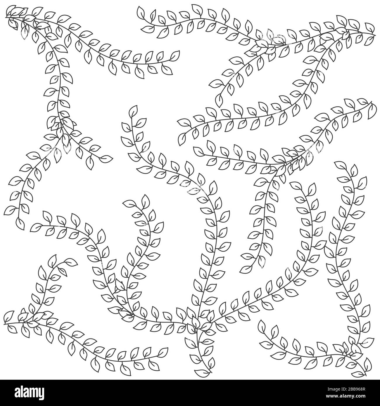 Set of branches in linear style. Branches with leaves isolated. Vector ...