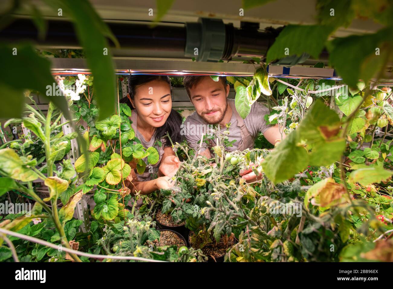 Checking conditions hi-res stock photography and images - Alamy