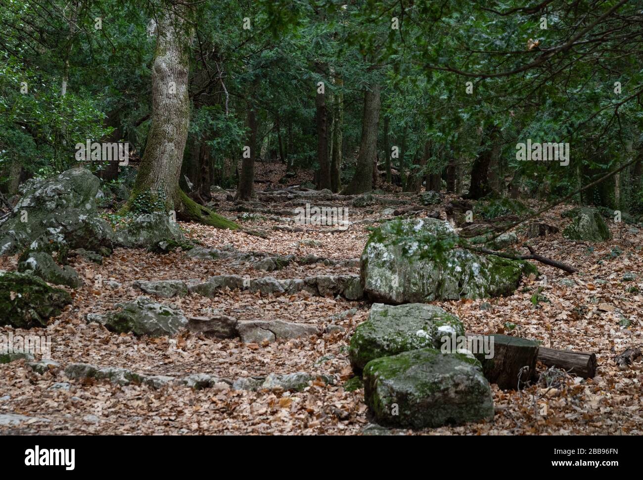 Nature landscape of autumn, Footpath in dark forest, road to grotto ...