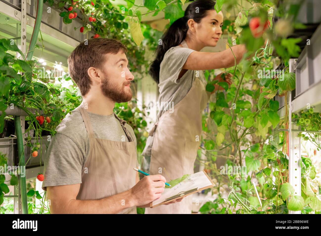 Young woman examining plants while her assistant recording information ...
