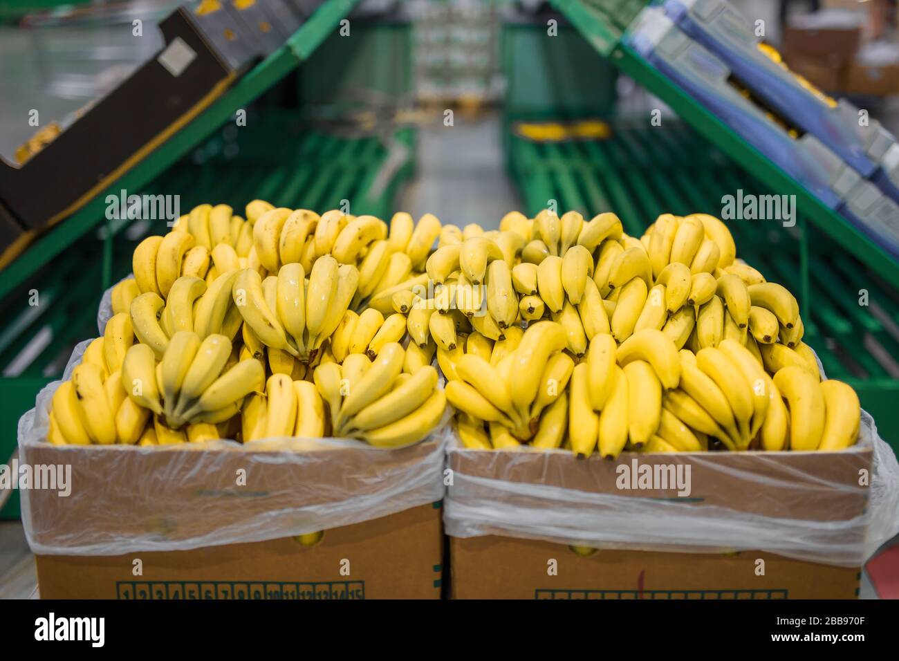 Fresh bananas in cardboard boxes on big market Stock Photo - Alamy