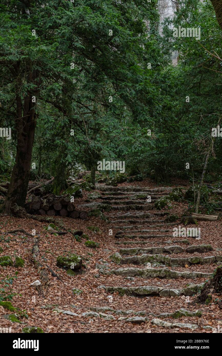 Nature landscape of autumn, Footpath in dark forest, road to grotto ...