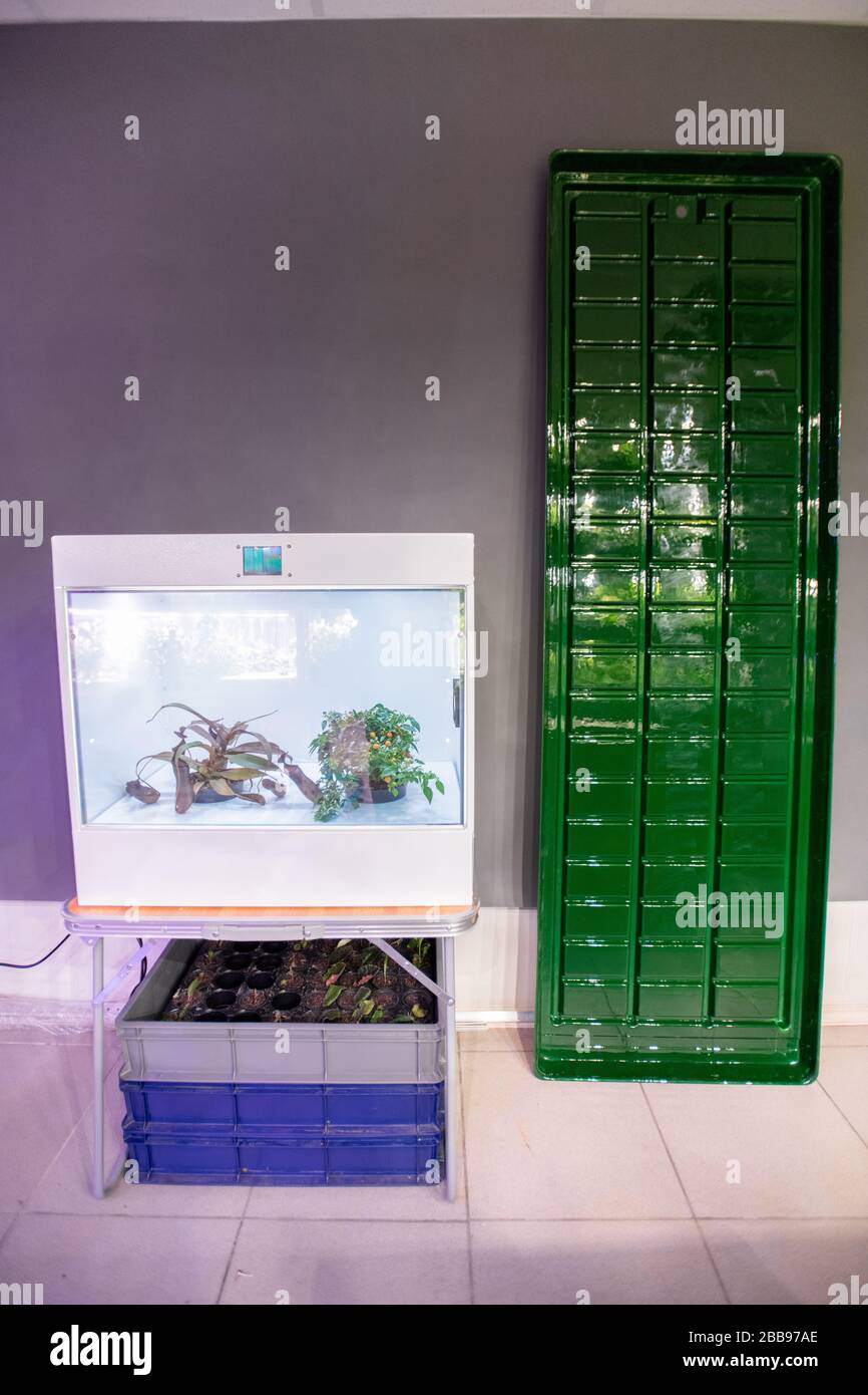 Indoor greenhouse for growing plants with grow box and long plastic ...