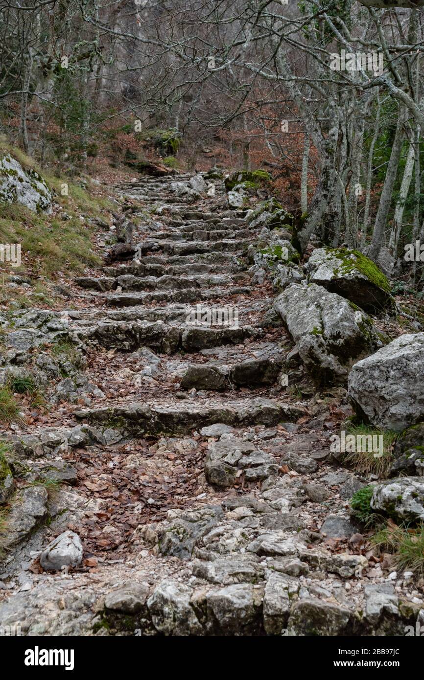 Nature landscape of autumn, Footpath in dark forest, road to grotto ...