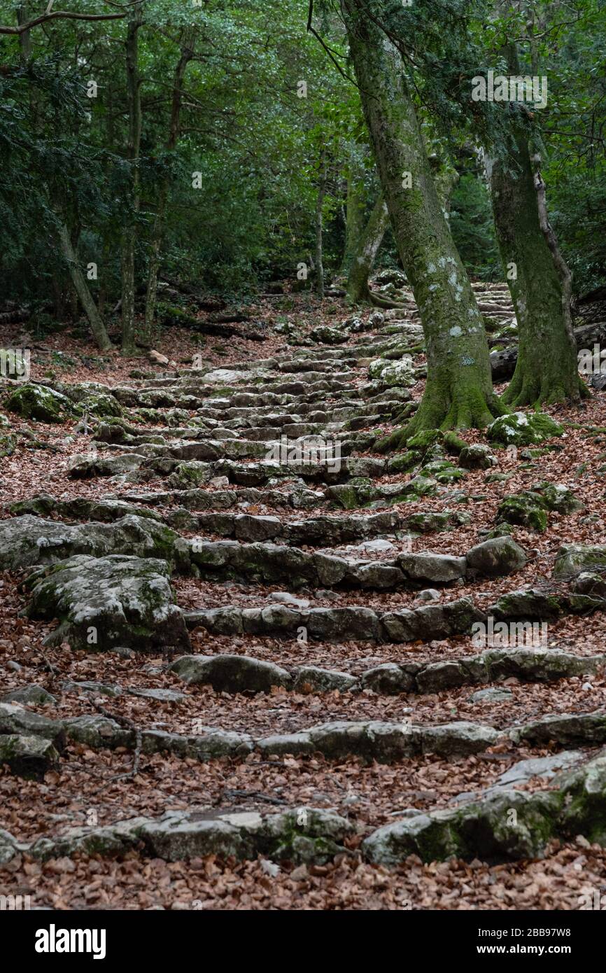 Nature landscape of autumn, Footpath in dark forest, road to grotto ...