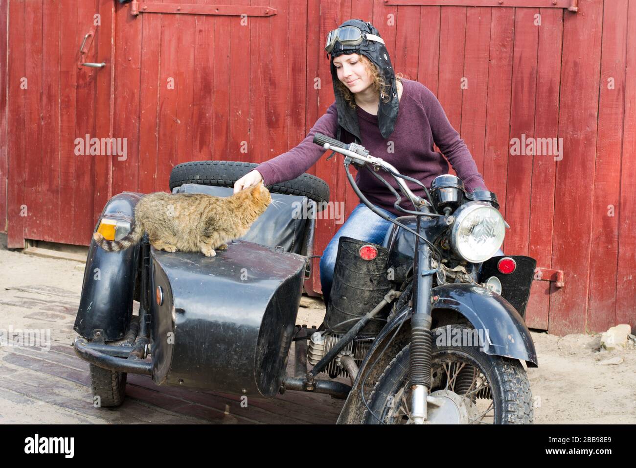 Sidecar Animal High Resolution Stock Photography and Images - Alamy