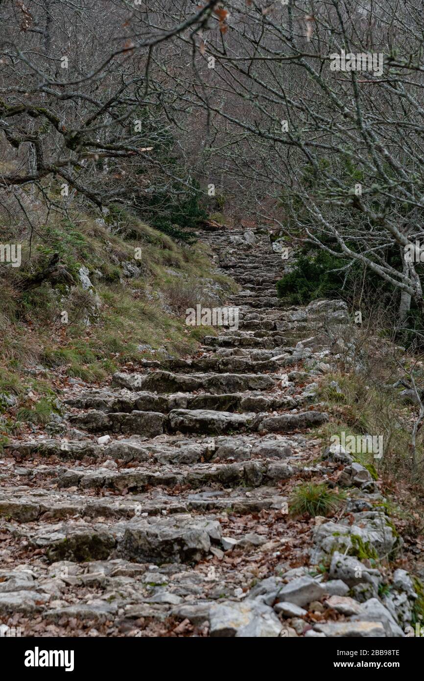 Nature landscape of autumn, Footpath in dark forest, road to grotto ...