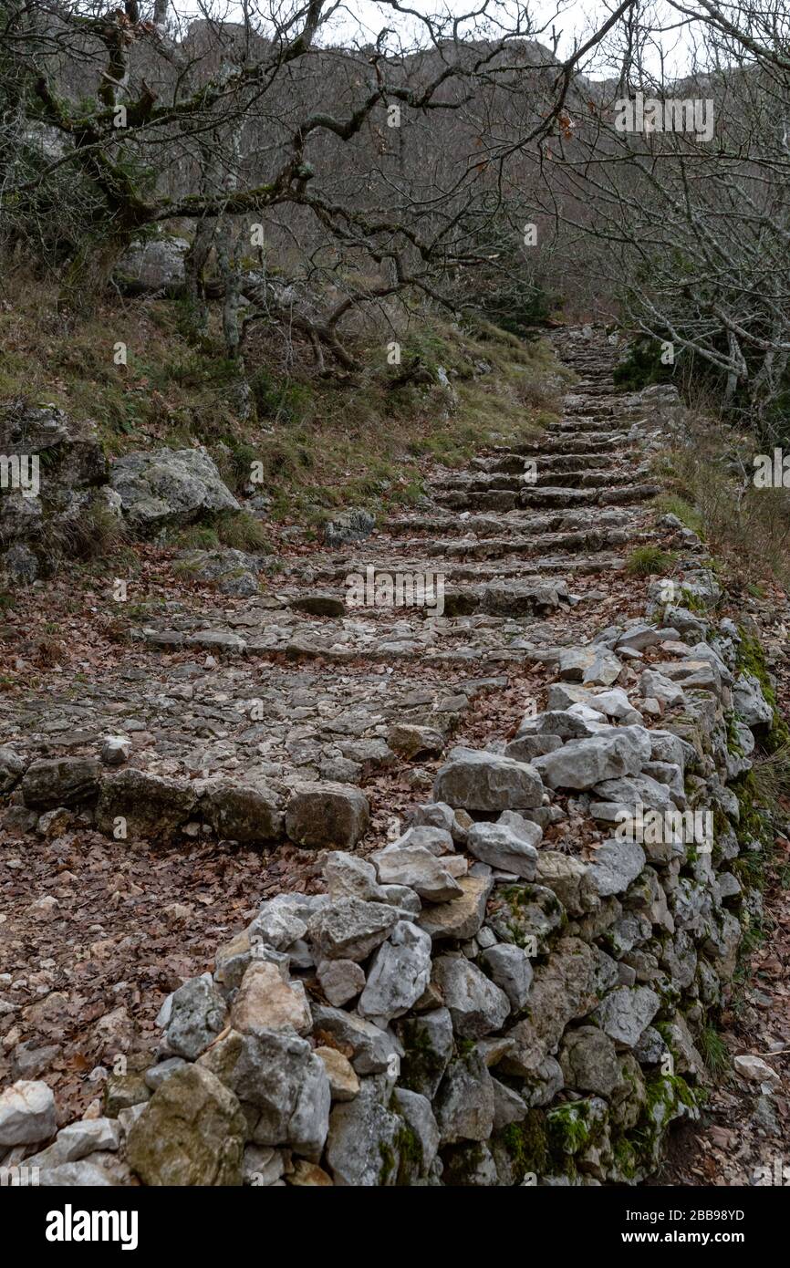 Nature landscape of autumn, Footpath in dark forest, road to grotto ...