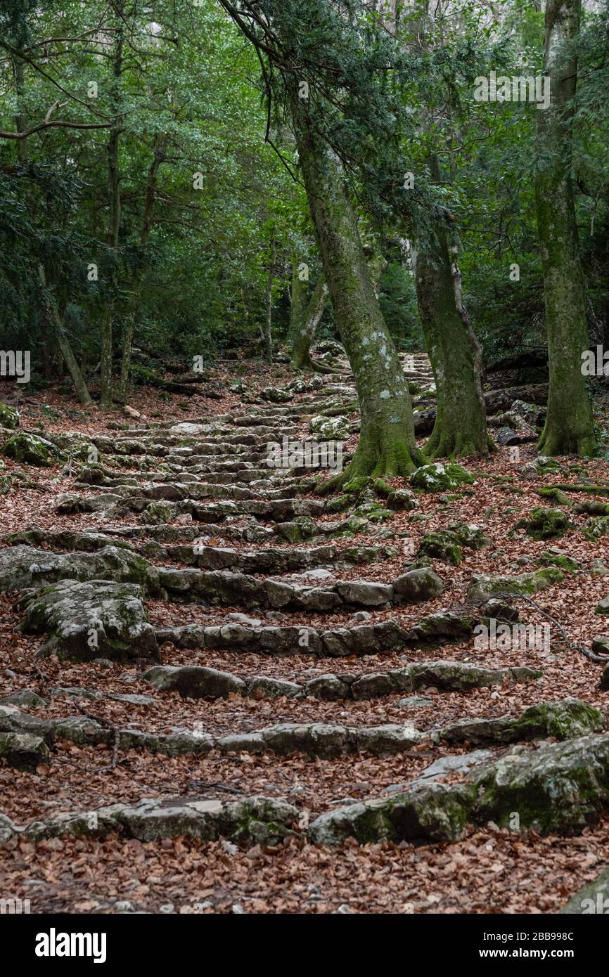 Nature landscape of autumn, Footpath in dark forest, road to grotto ...