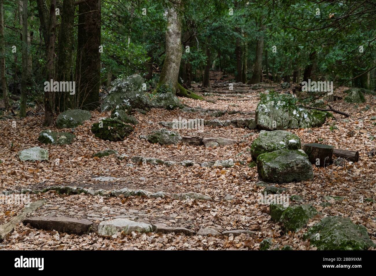 Nature landscape of autumn, Footpath in dark forest, road to grotto ...