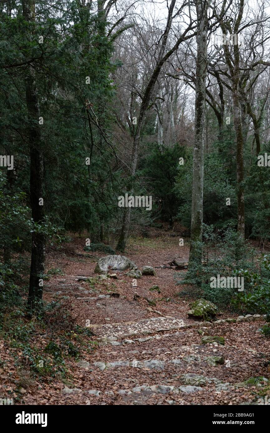Nature landscape of autumn, Footpath in dark forest, road to grotto ...