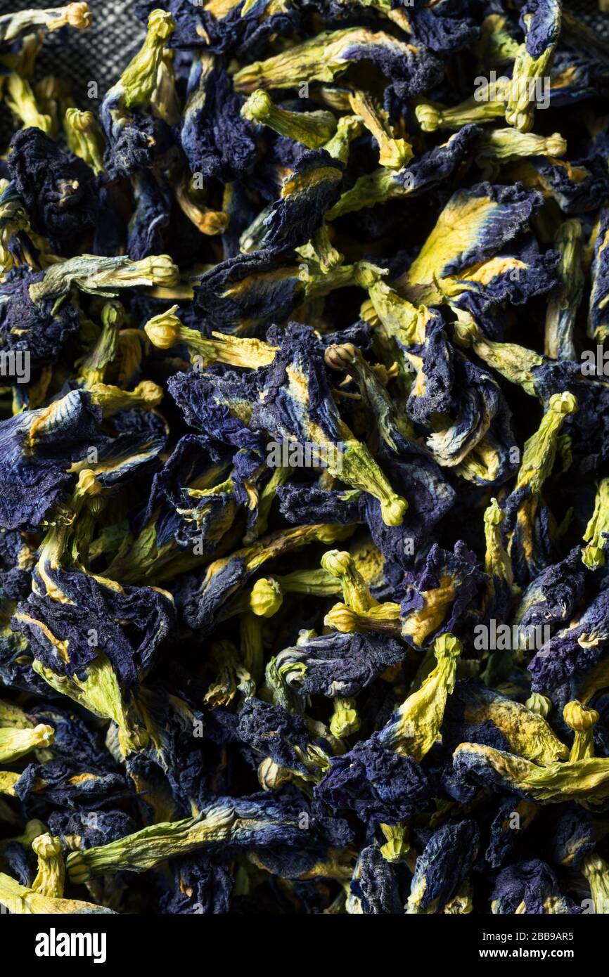 Dried Organic Butterfly Pea Flowers in a Bowl Stock Photo - Alamy