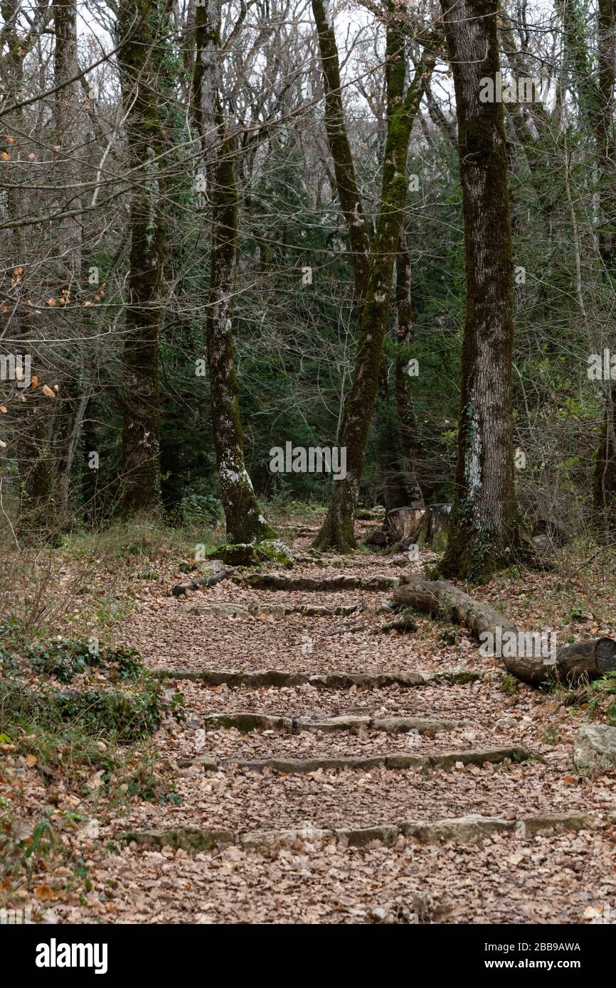 Nature landscape of autumn, Footpath in dark forest, road to grotto ...