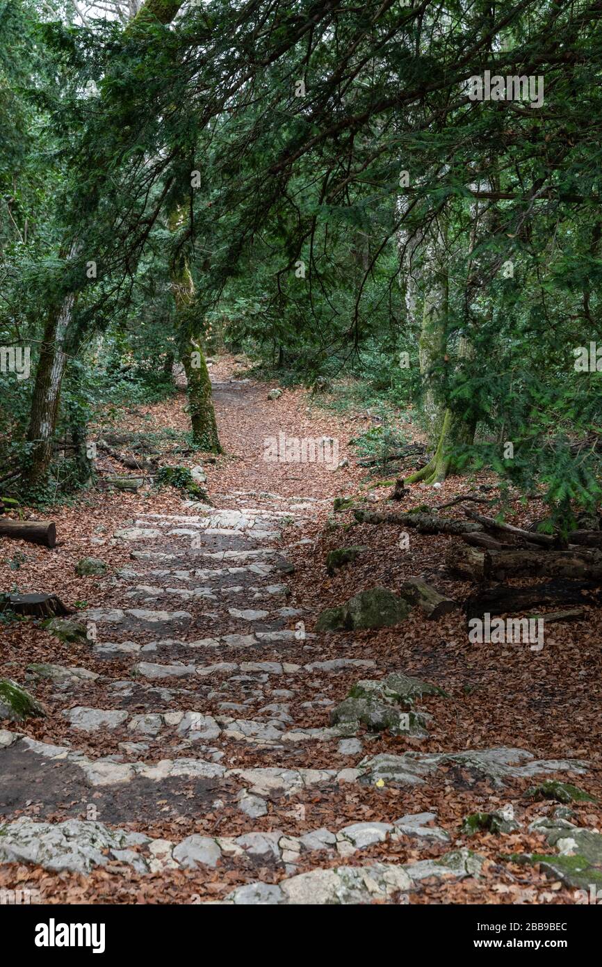 Nature landscape of autumn, Footpath in dark forest, road to grotto ...
