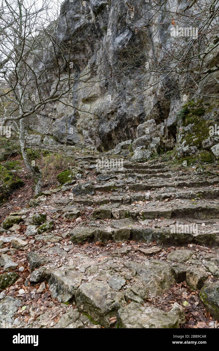 Nature landscape of autumn, Footpath in dark forest, road to grotto ...