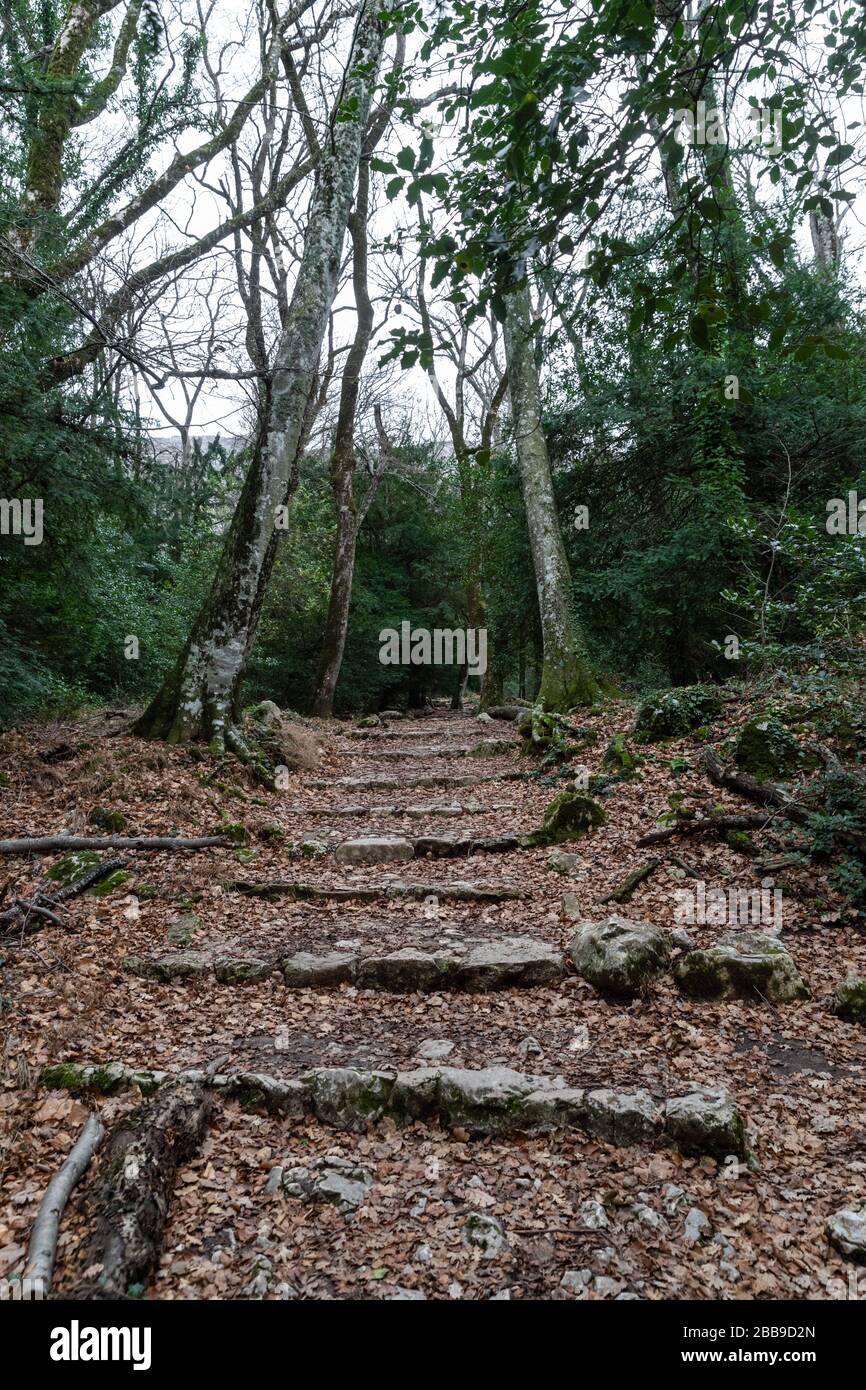 Nature landscape of autumn, Footpath in dark forest, road to grotto ...