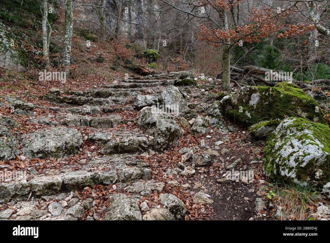 Nature landscape of autumn, Footpath in dark forest, road to grotto ...