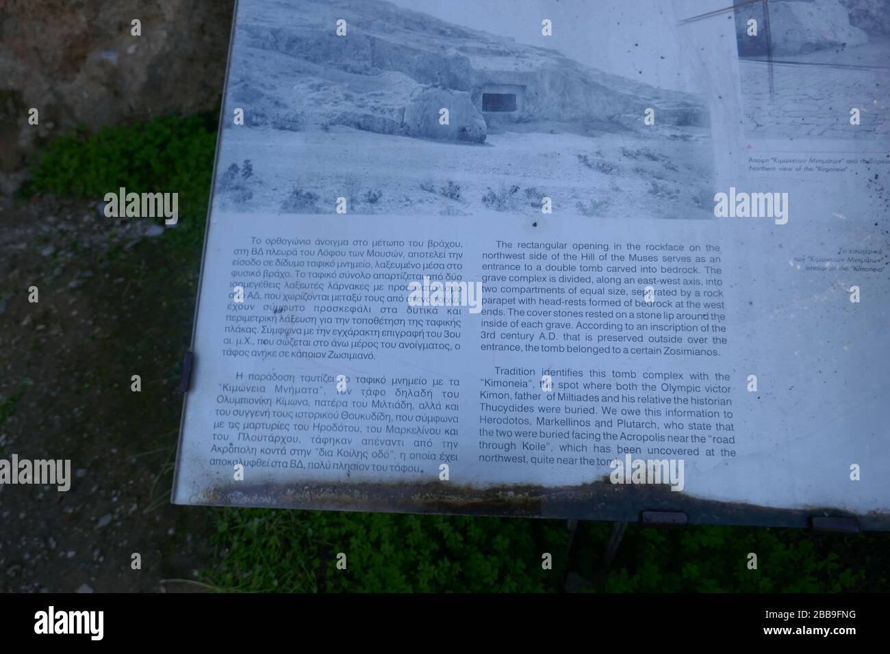 Pynx hi-res stock photography and images - Alamy