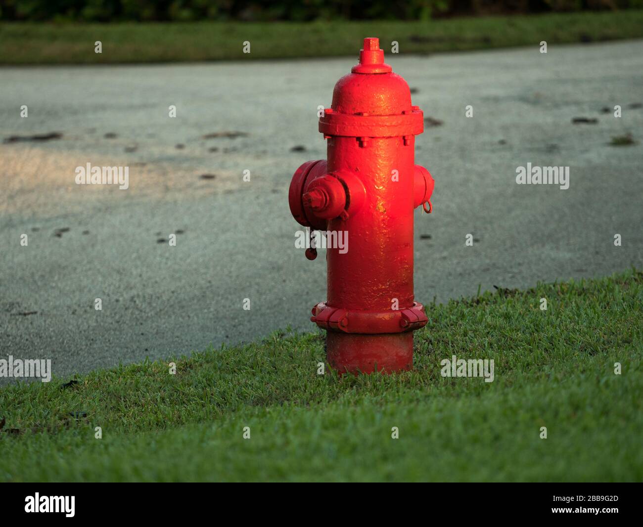 A red fire hydrant on cut grass next to a paved street Stock Photo - Alamy