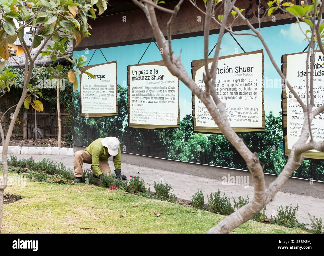 The fig tree sign hi-res stock photography and images - Alamy