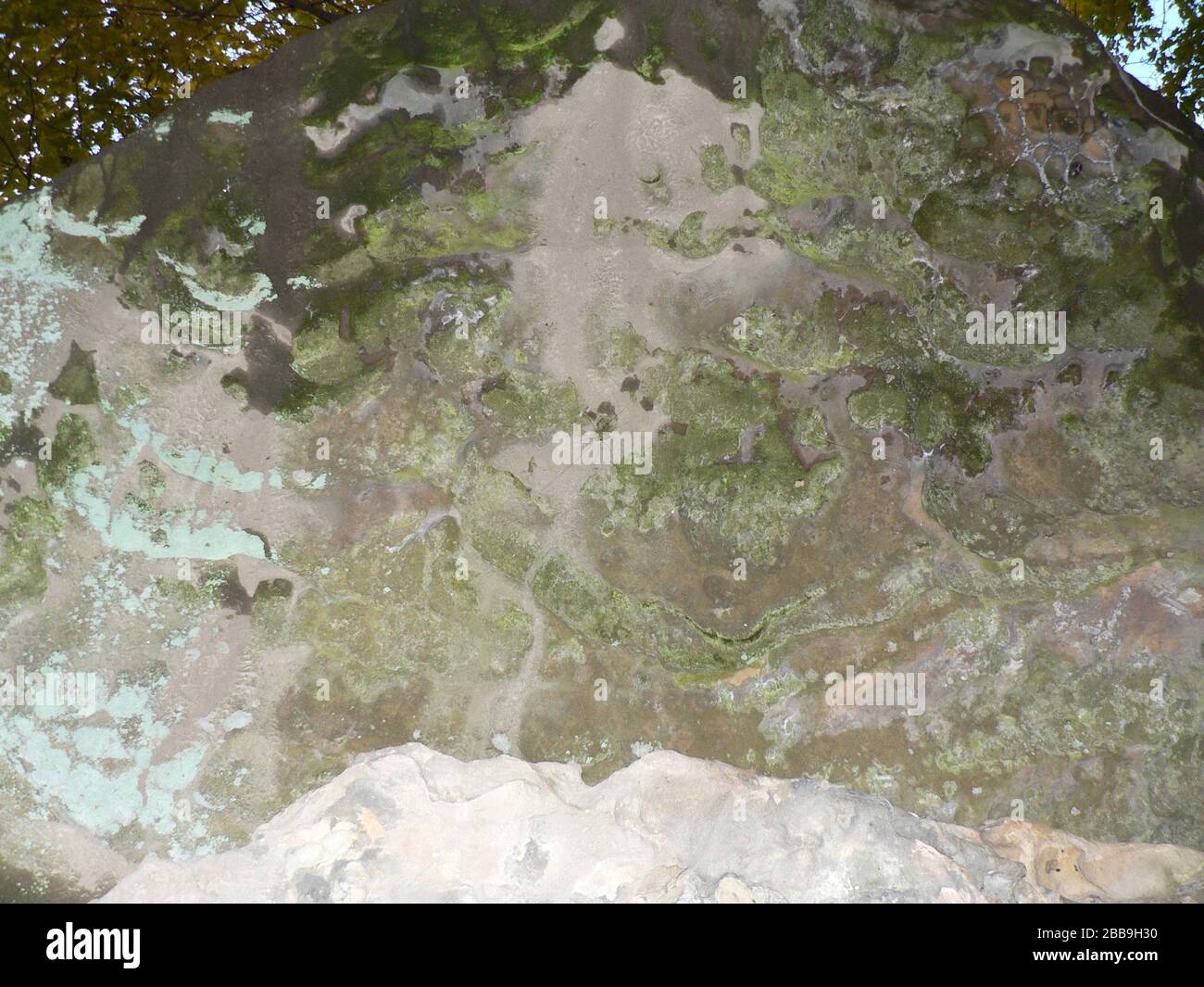 Shallenberger Nature Preserve, Lancaster, Ohio Stock Photo - Alamy