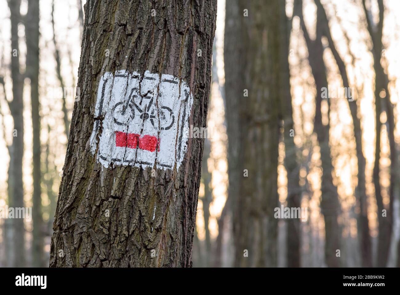 Red arrow on tree hi-res stock photography and images - Alamy