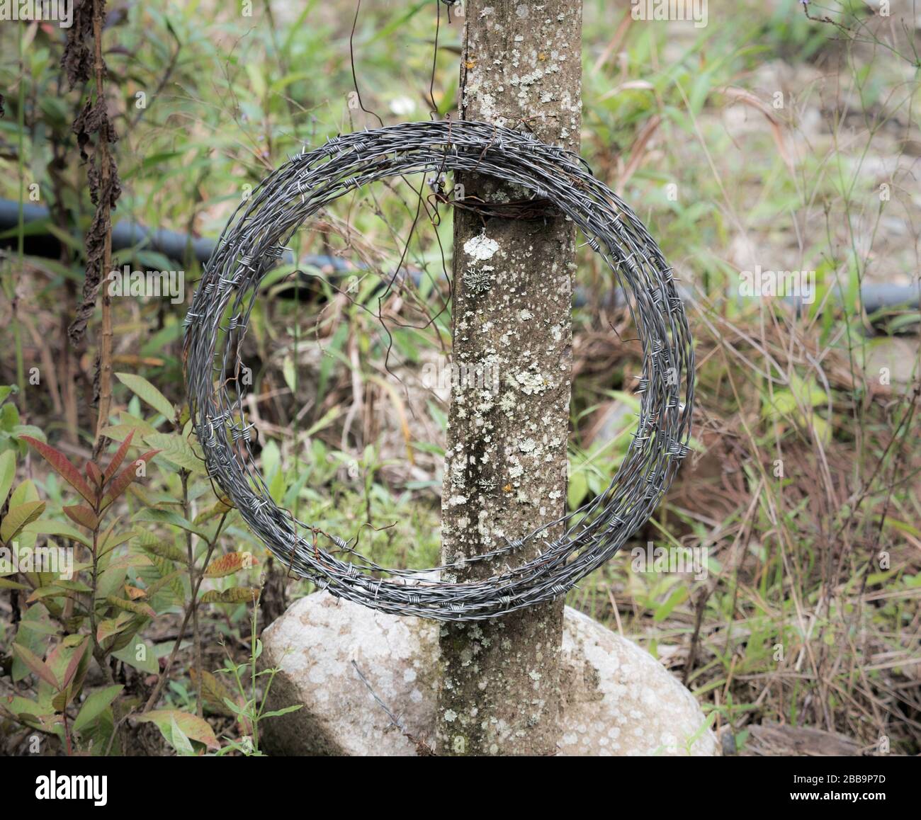 Coil barbed wire hi-res stock photography and images - Alamy