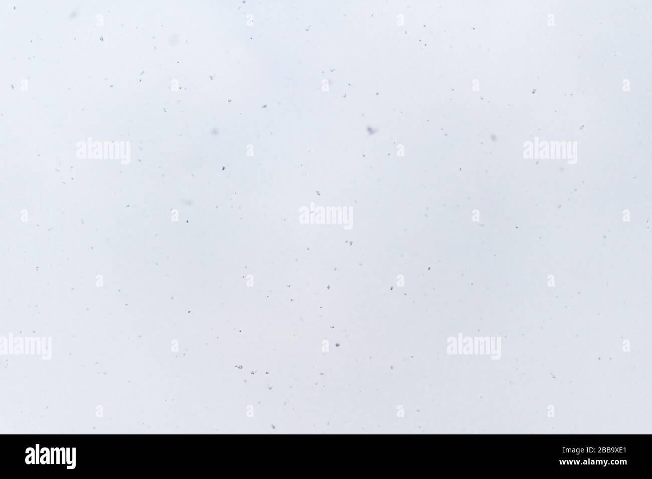 Falling Snowflakes Tumblr Background