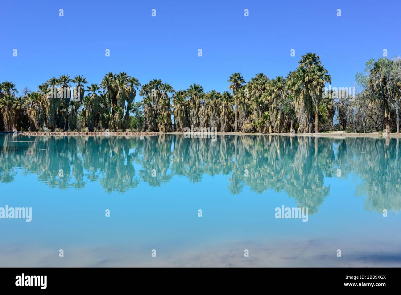 Panorama park palm springs hi-res stock photography and images - Alamy