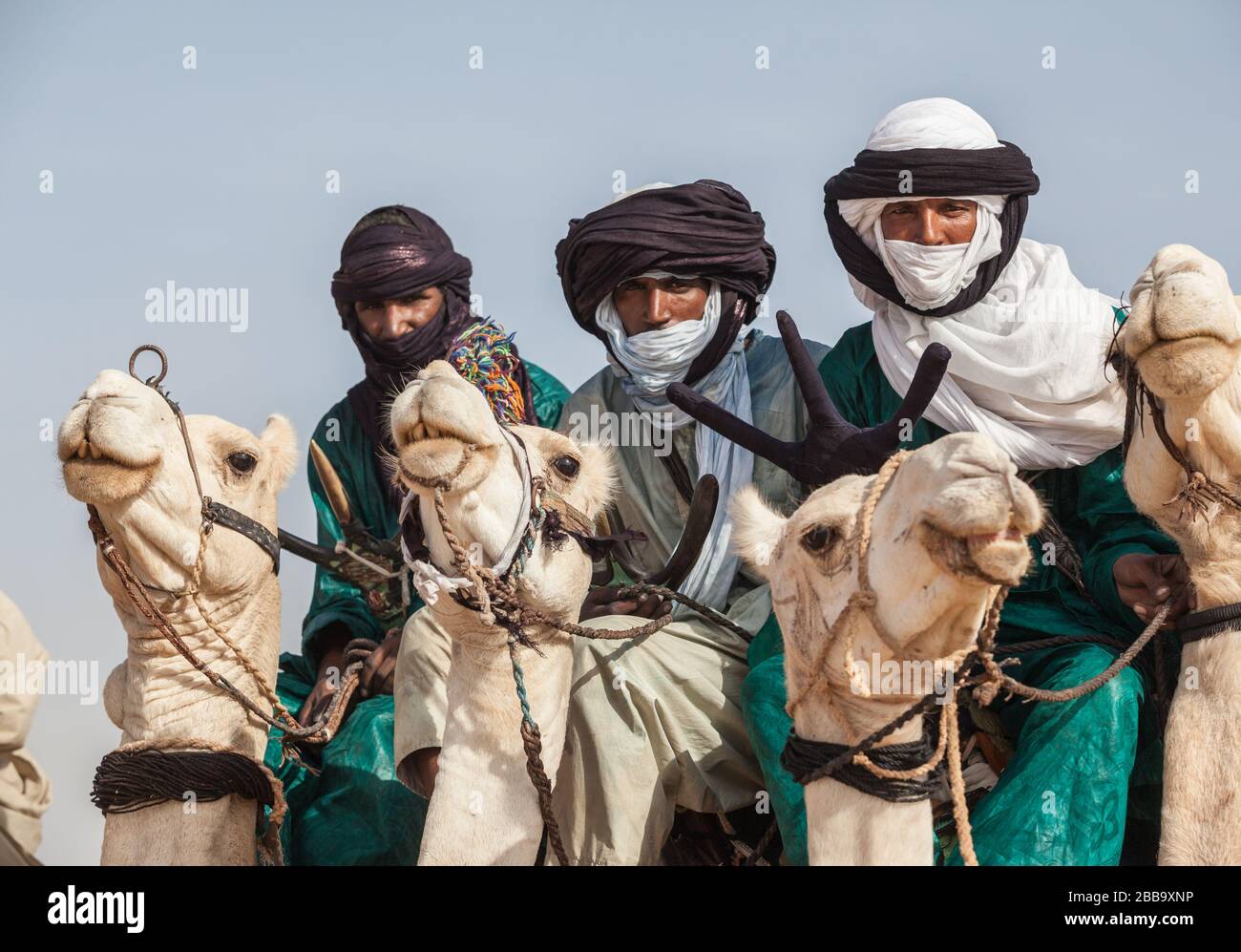 Niger: tuareg people in traditional clothes sitting on camels Stock ...