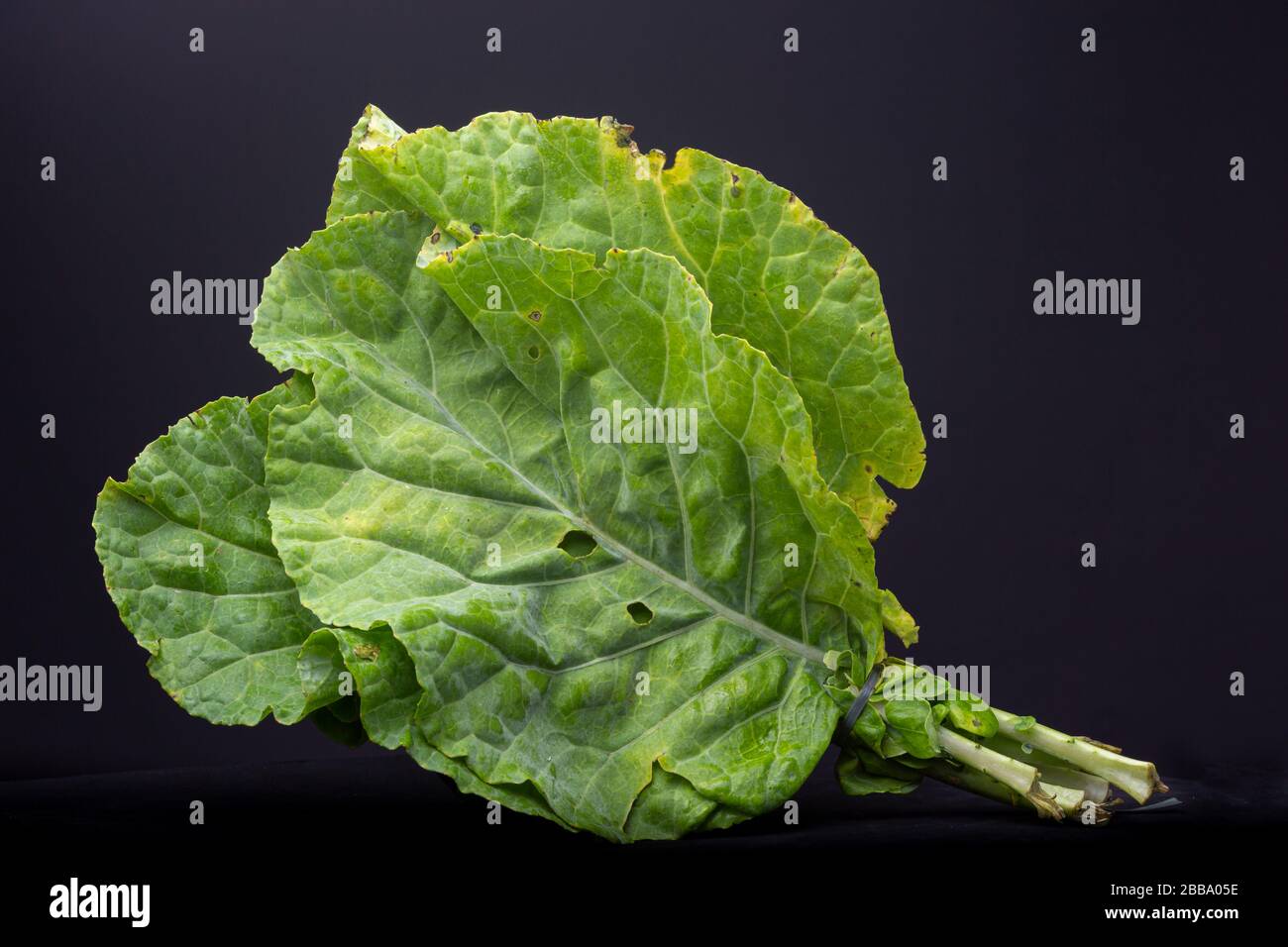 Edible leaves hi-res stock photography and images - Alamy