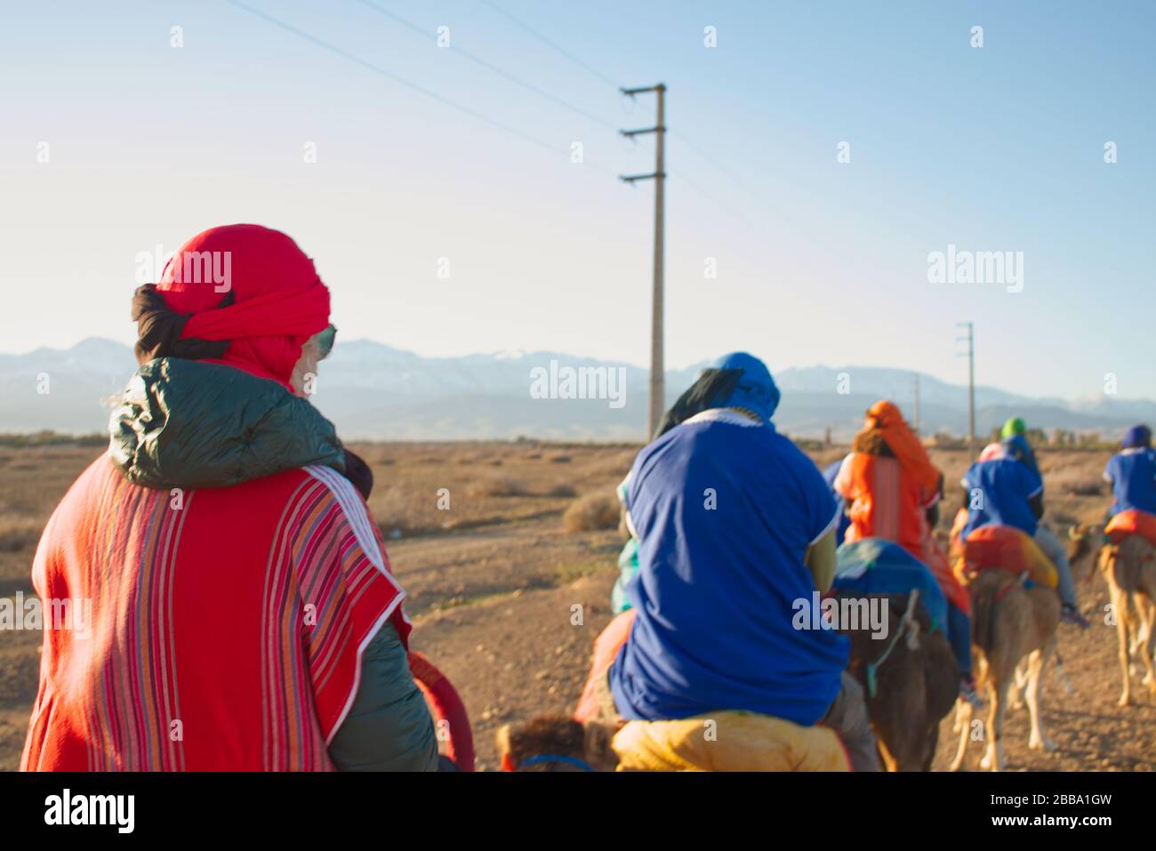 A group of tourists enjoying an organised camel ride in the mornings ...
