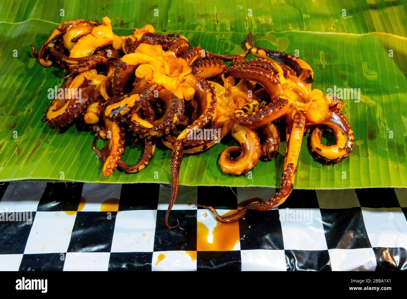 Octopus for sale hi-res stock photography and images - Alamy