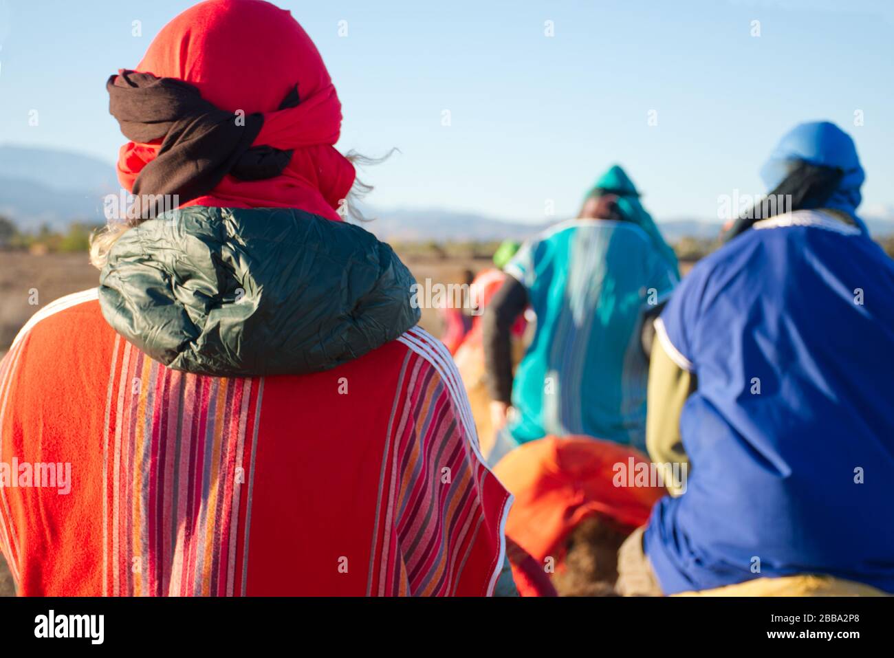 A group of tourists enjoying an organised camel ride in the mornings ...