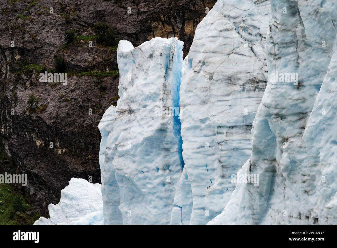 Chile, Patagonia - Glacier Condor Stock Photo - Alamy