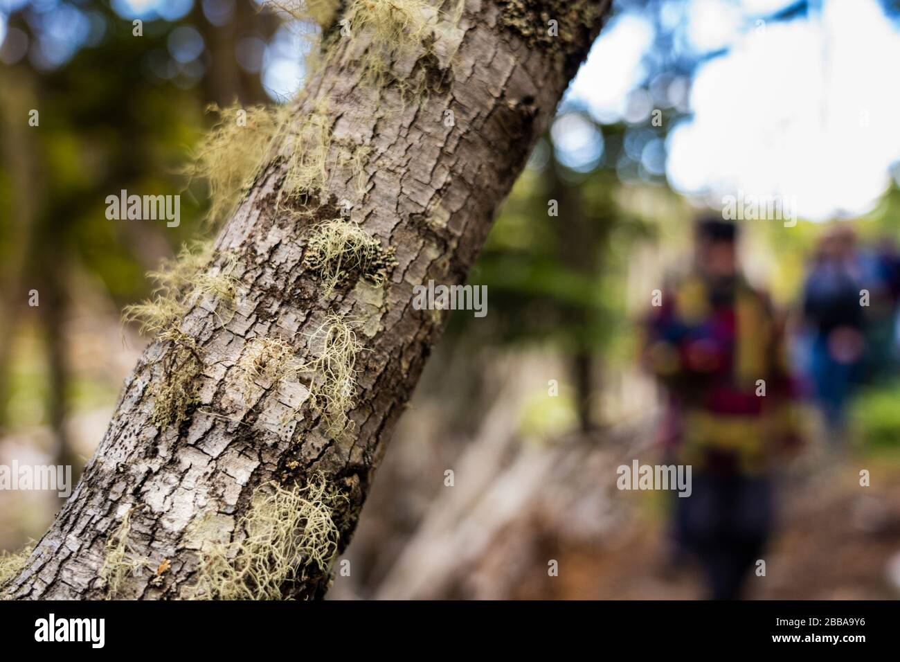 Chile, Patagonia - Wulaia Bay Stock Photo - Alamy