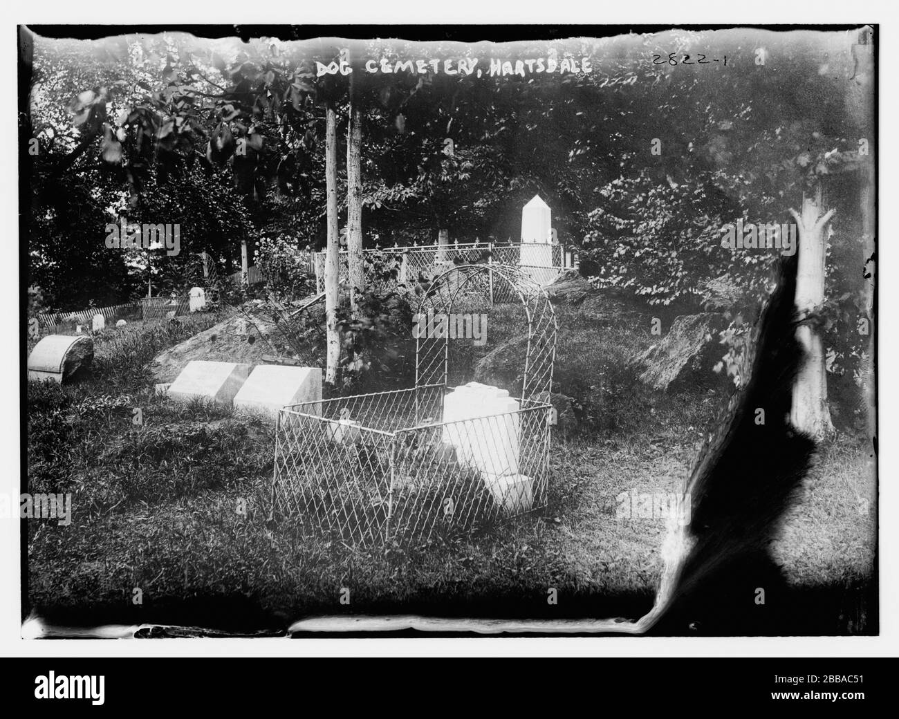 Dog cemetery hi-res stock photography and images - Alamy