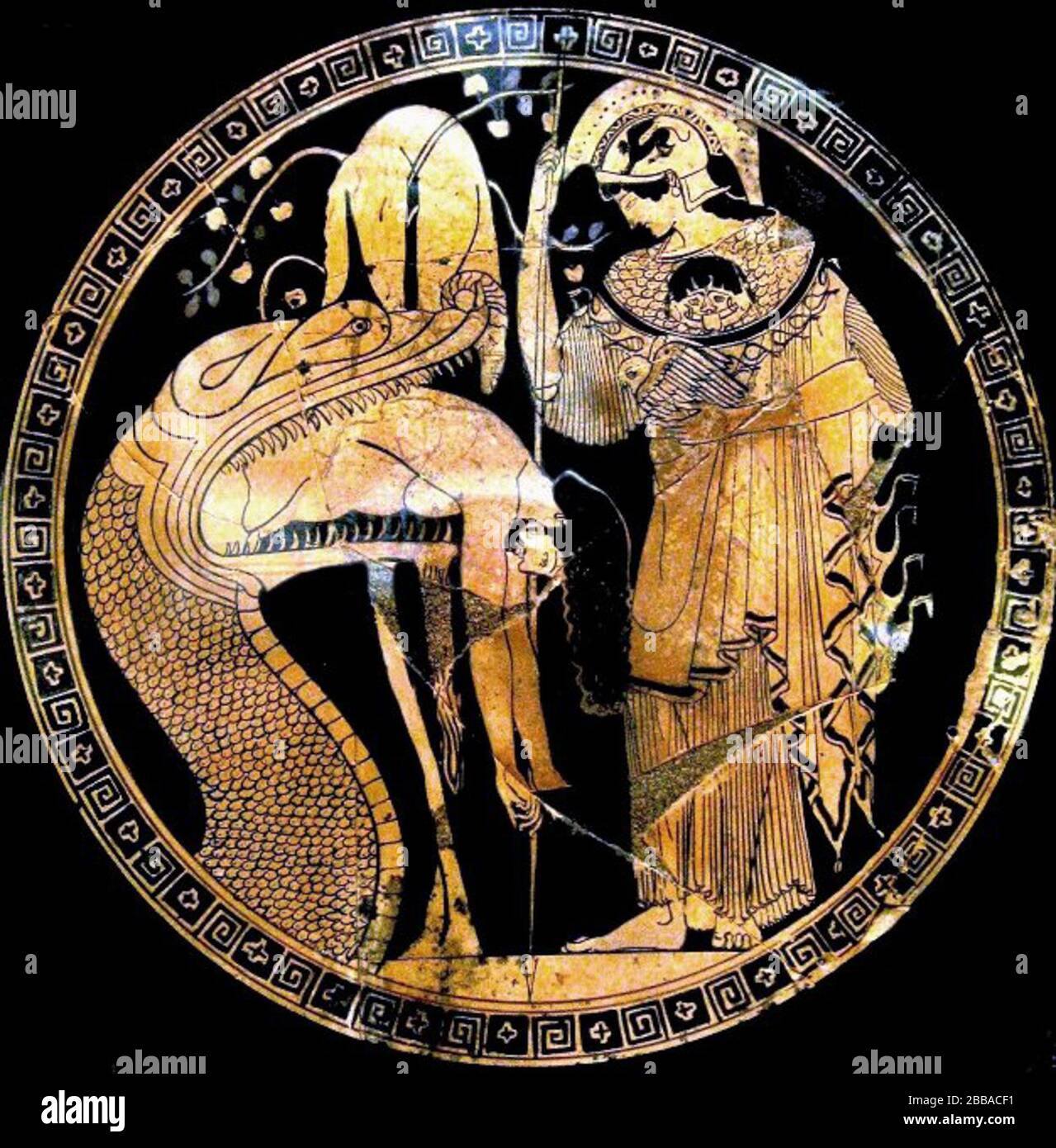 Athena Snake High Resolution Stock Photography and Images - Alamy