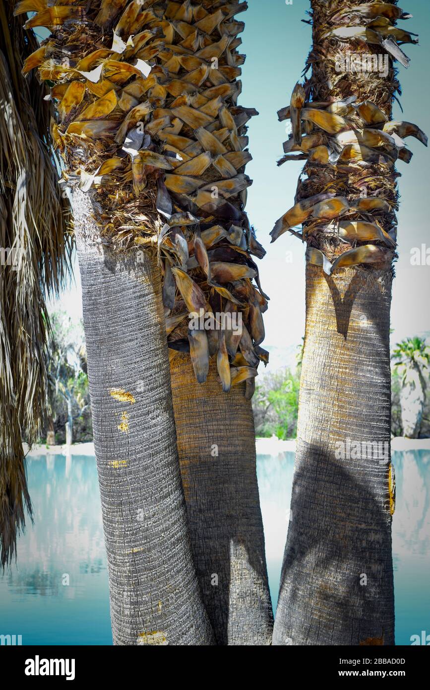 Obscured view hi-res stock photography and images - Alamy